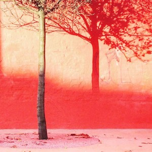 iPhone Photographer of the Month: Karen Vikke | Mobile Fun Blog