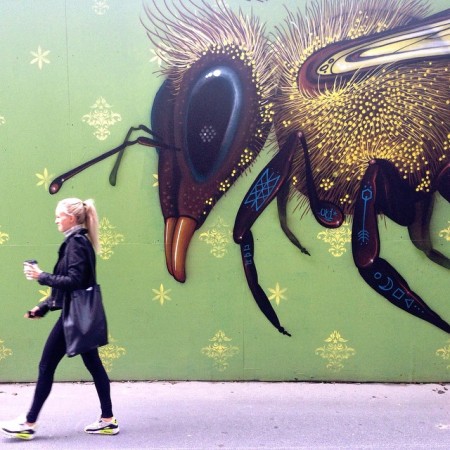 iPhone Photographer of the Month: Karen Vikke | Mobile Fun Blog