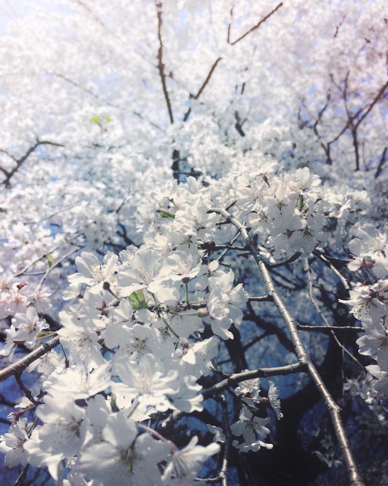 Under the spotlight: Koshi Nishijima | Mobile Fun Blog